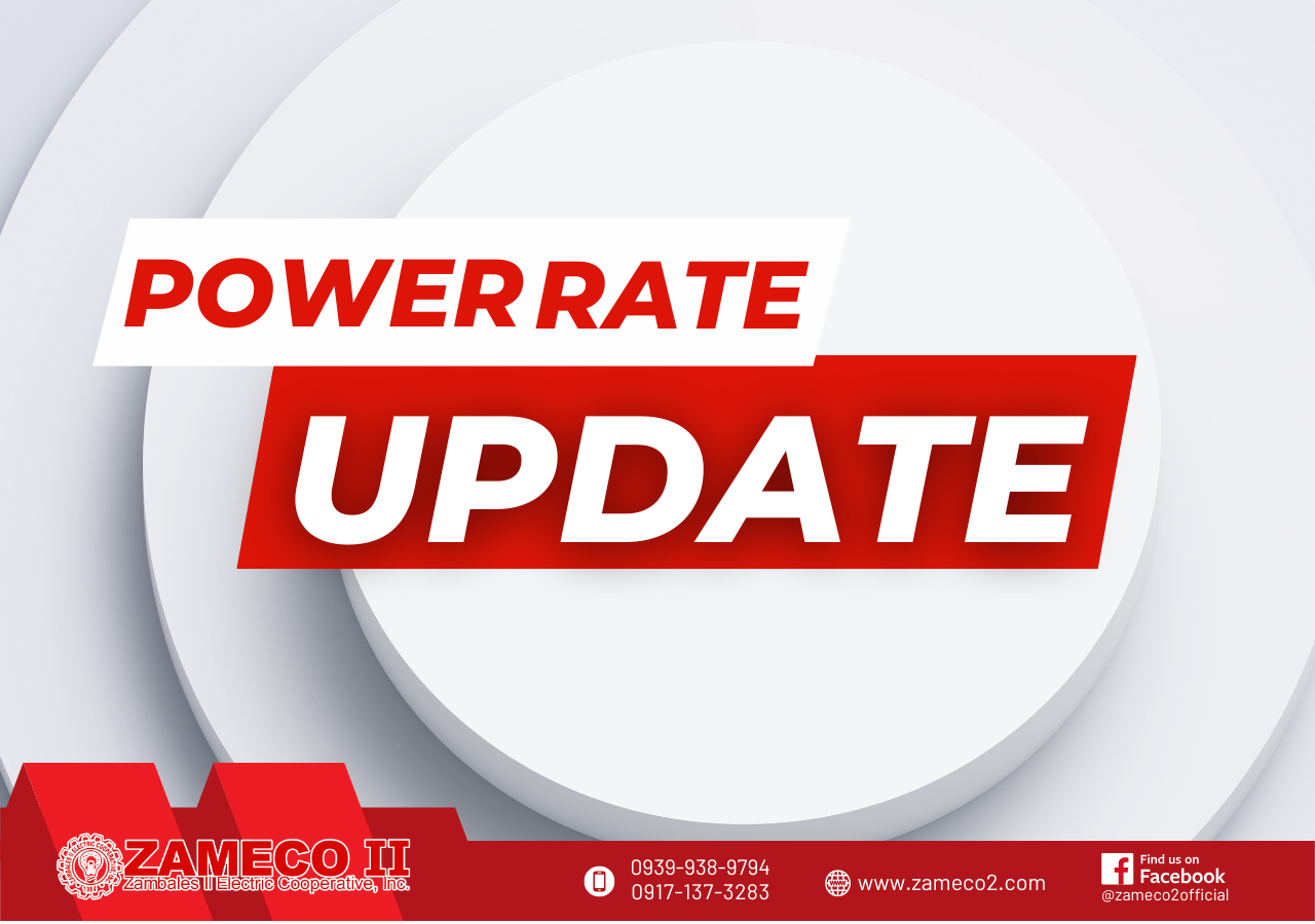 ZAMECO II – “To provide efficient, reliable, safe and affordable power ...