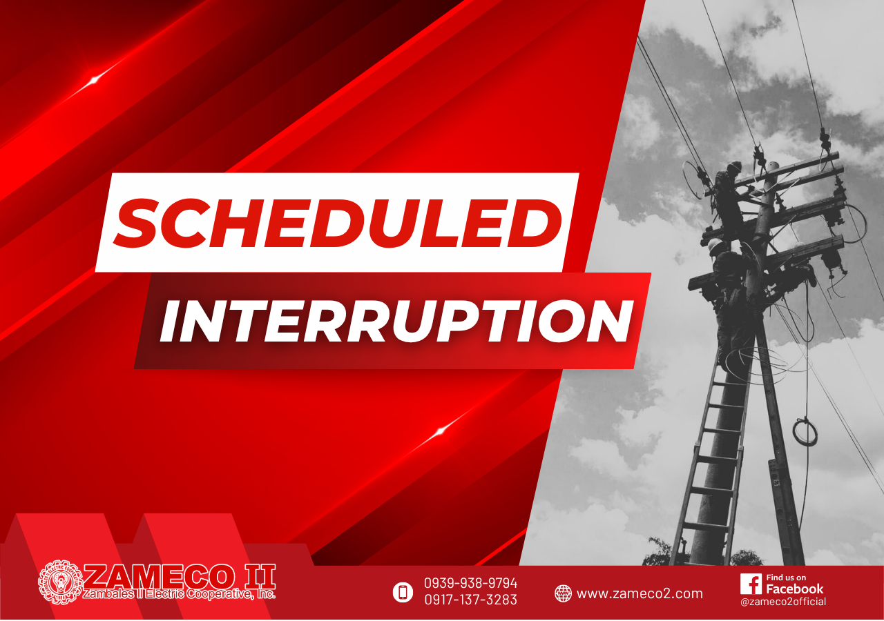 ZAMECO II – “To provide efficient, reliable, safe and affordable power towards utmost customer ...